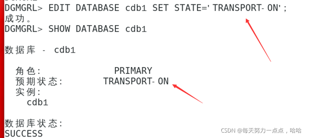 Data Guard (DGMGRL常用命令)_show database verbose-CSDN博客