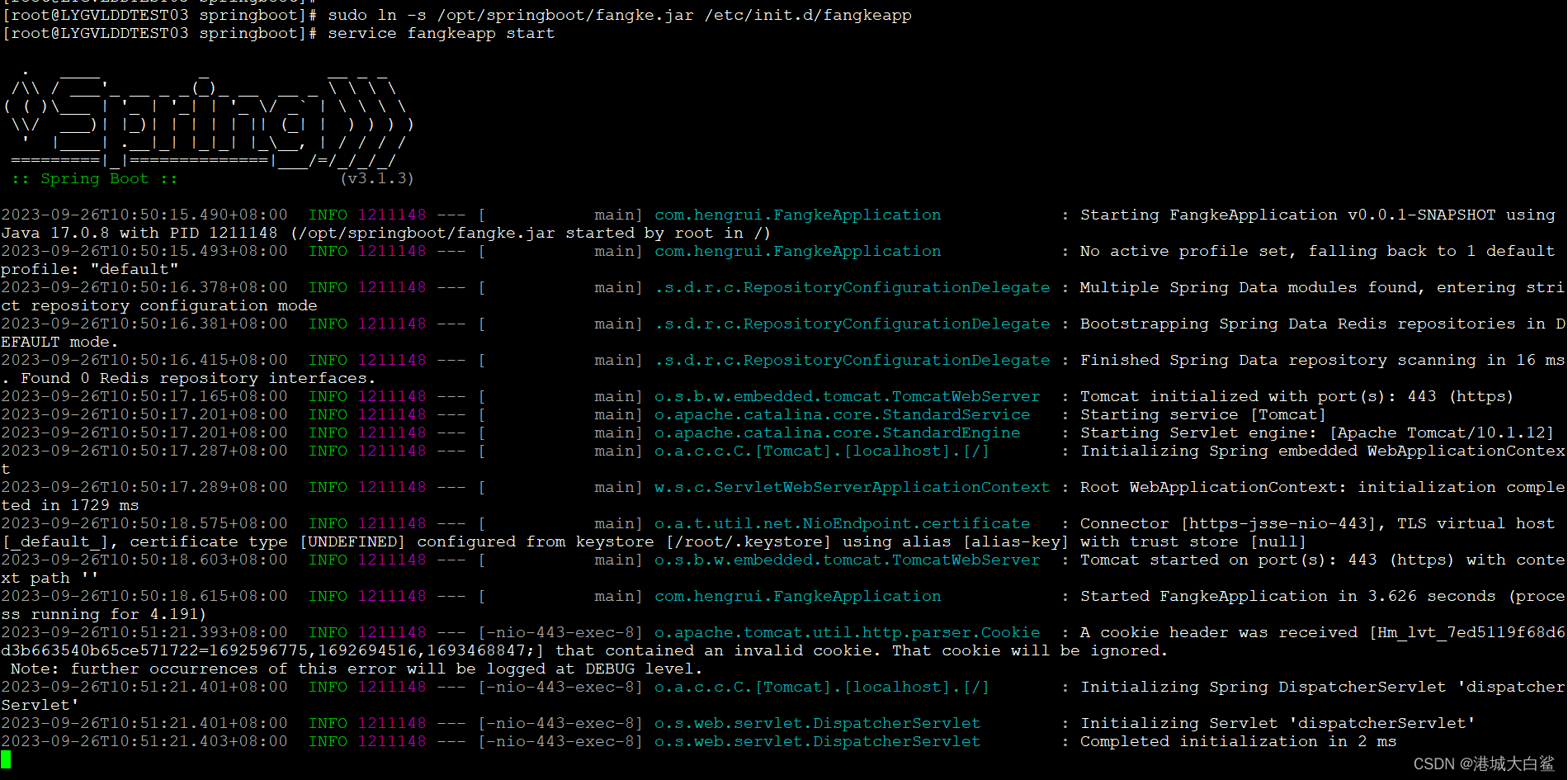 SpringBoot部署二 Linux服务器部署_新买的linux服务器怎么部署运行springboot-CSDN博客
