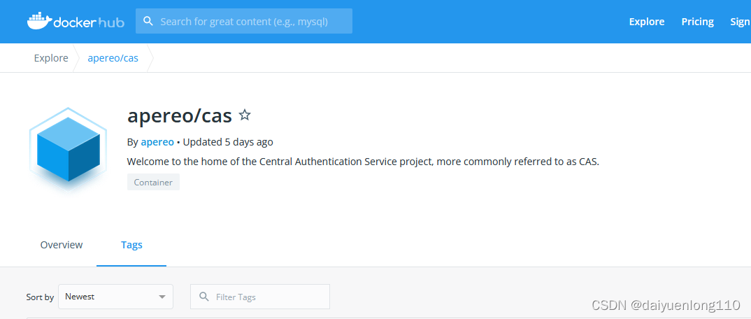 Docker部署CAS单点登录SERVER 6.2.2_用docker 搭建 cas 服务器-CSDN博客