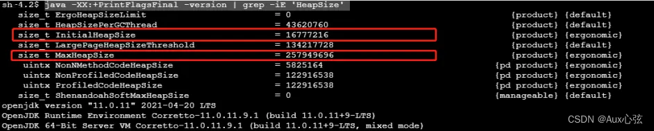 检查JDK默认及运行时Xmx和Xms设置-CSDN博客