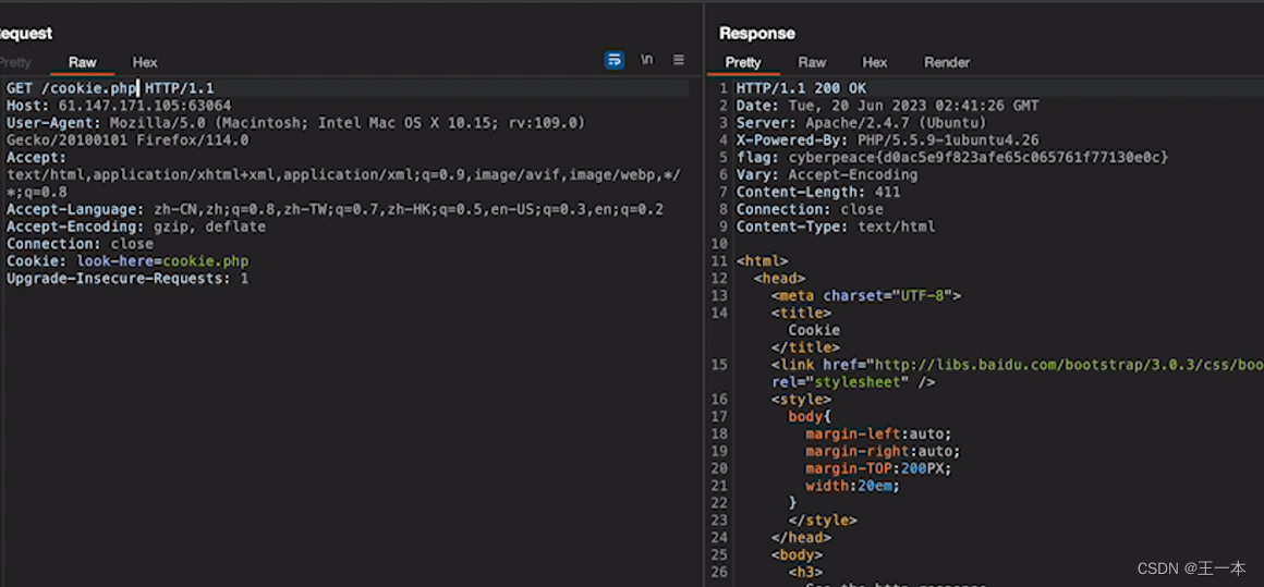 cookie_bp设置cookie-CSDN博客