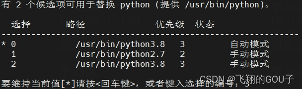 Ubuntu系统下切换Python版本_update-alternatives python 2-CSDN博客