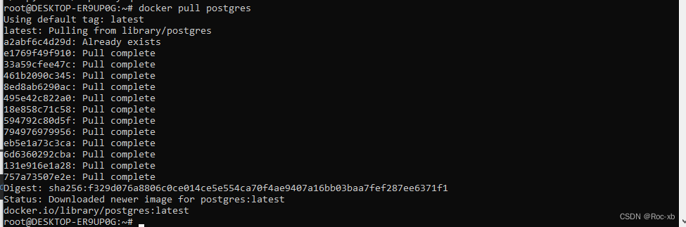 Docker安装PostgreSQL详细教程_Docker-CSDN专栏