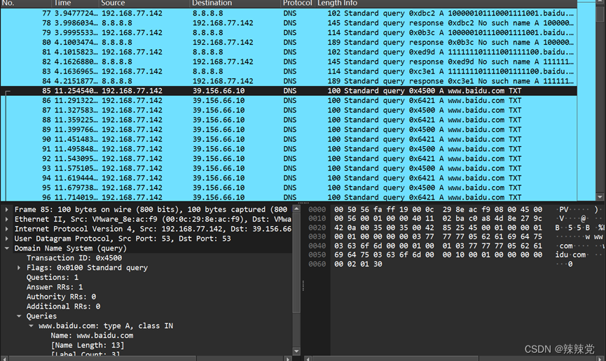 CISCN2024 Day1 其中一题DNS_ctf dns题目 一串奇怪的字符-CSDN博客