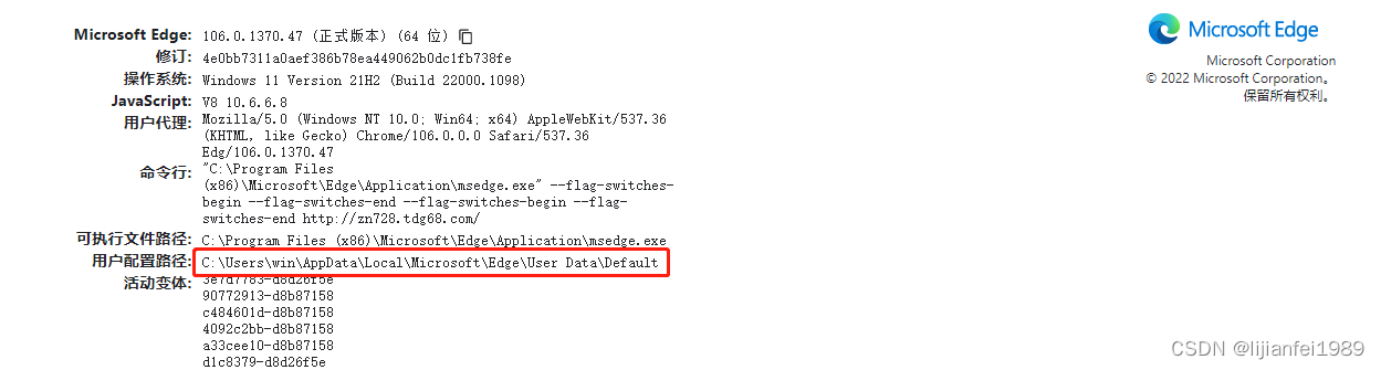 Electron 配置 Vue Devtools_electron-devtools-installer-CSDN博客