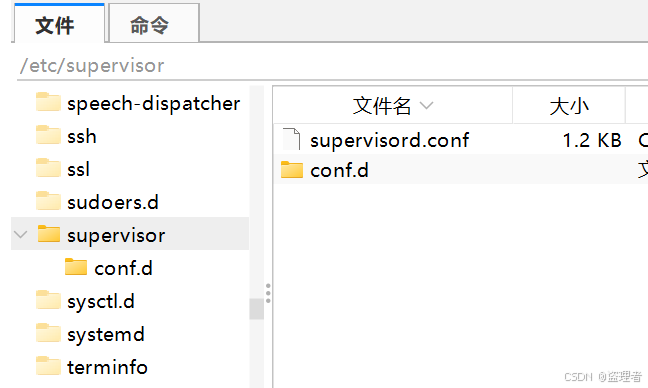 supervisord 配置文件+注意事项+转义-CSDN博客
