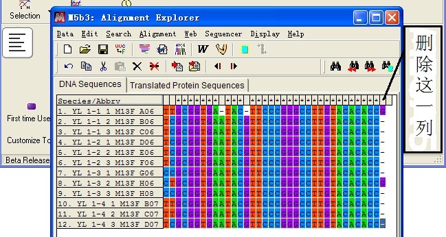 linux下phylip软件构建NJ树,MEGA软件——系统发育树构建方法（图文讲解）-CSDN博客