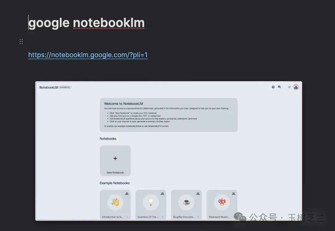 如何用 NotebookLM 综合分析多篇文献？-CSDN博客