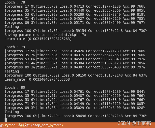 deepsort训练车辆特征参数_ckpt.t7-CSDN博客