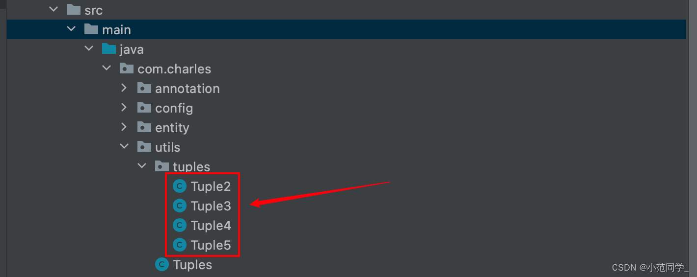 超爽好用的Tuples揭秘_java tuples 包的使用-CSDN博客