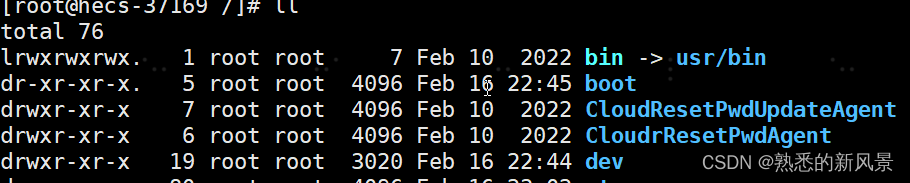 linux ll命令是什么-CSDN博客