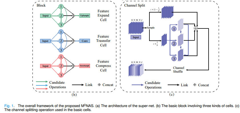 Multi-Scale and Multi-Level Memory-Efficient Neural Architecture Search for Low-Dose CT ...