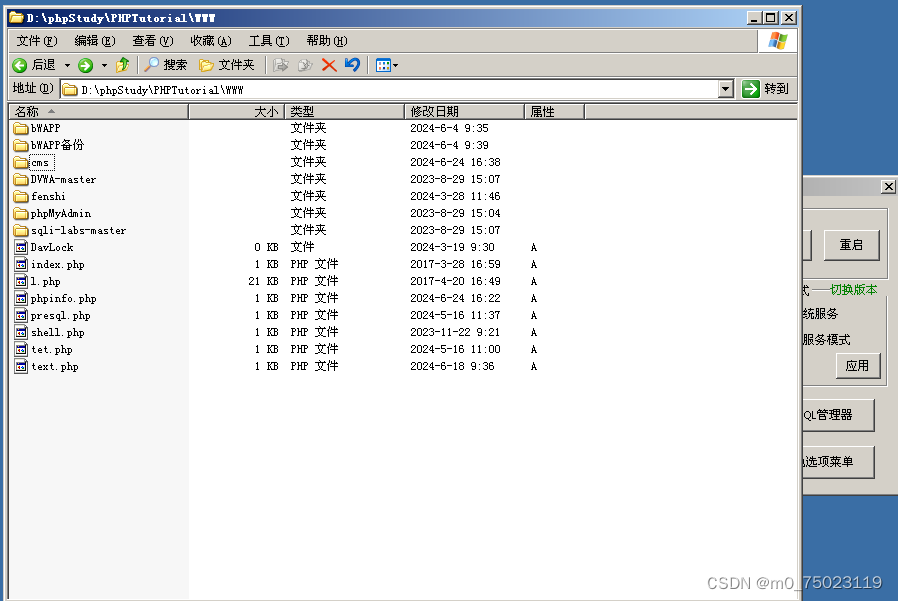 在win2003搭建CMS环境_win server 2003安装cms-CSDN博客