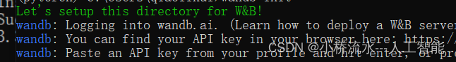 wandb.errors.UsageError: api_key not configured (no-tty). call wandb.login(key=[your_api_key])解决 ...