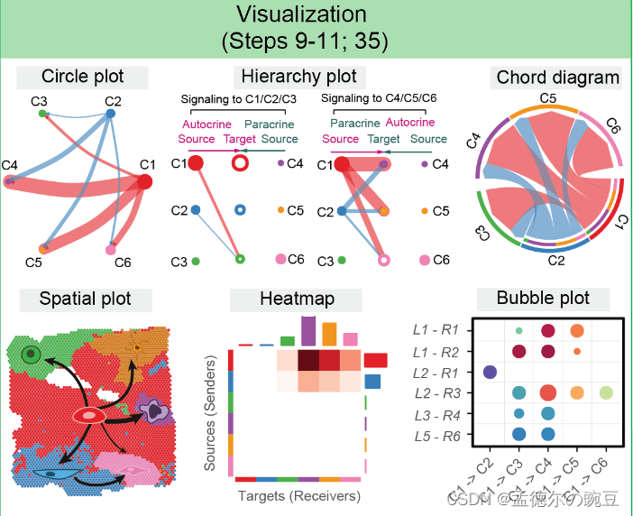 空间转录组分析实战4：空间细胞通讯分析-CellChat v2_spatialplot(gbm4,label = true, label.size = 5,grou-CSDN博客