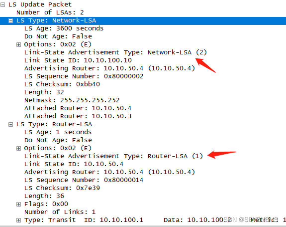 二、OSPFv2 LSA详解_attached router-CSDN博客