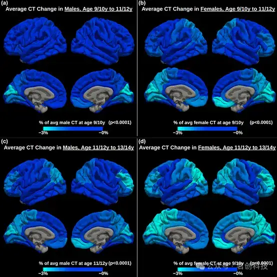 Hum Brain Mapp：青春期早期的灰质流失可以用白质生长来解释吗？_青少年灰质和白质的发展-CSDN博客