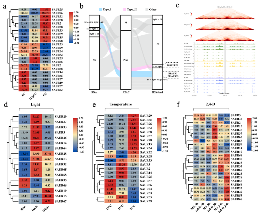 基因家族分析+ATAC-seq如何擦出火花？看这篇就够了-CSDN博客