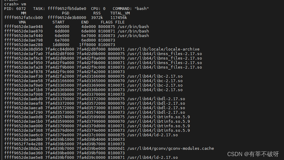 LINUX常用工具之kdump分析-CSDN博客