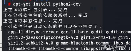 解决kali linux pip2与pip3共存_kali python2和python3如何共存-CSDN博客