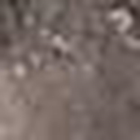 基于python_CNN深度学习的仙人掌识别-含数据集+pyqt界面_掌纹识别代码实现python-CSDN博客