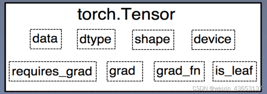 1_Tensor概念，属性以及如何创建_新建一个值为5的tensor-CSDN博客