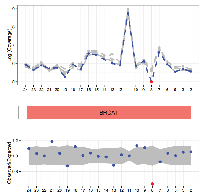 DECoN:最高分辨率的CNV检测工具-CSDN博客