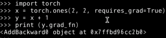 【笔记】EasyHPC - PyTorch入门教程-CSDN博客
