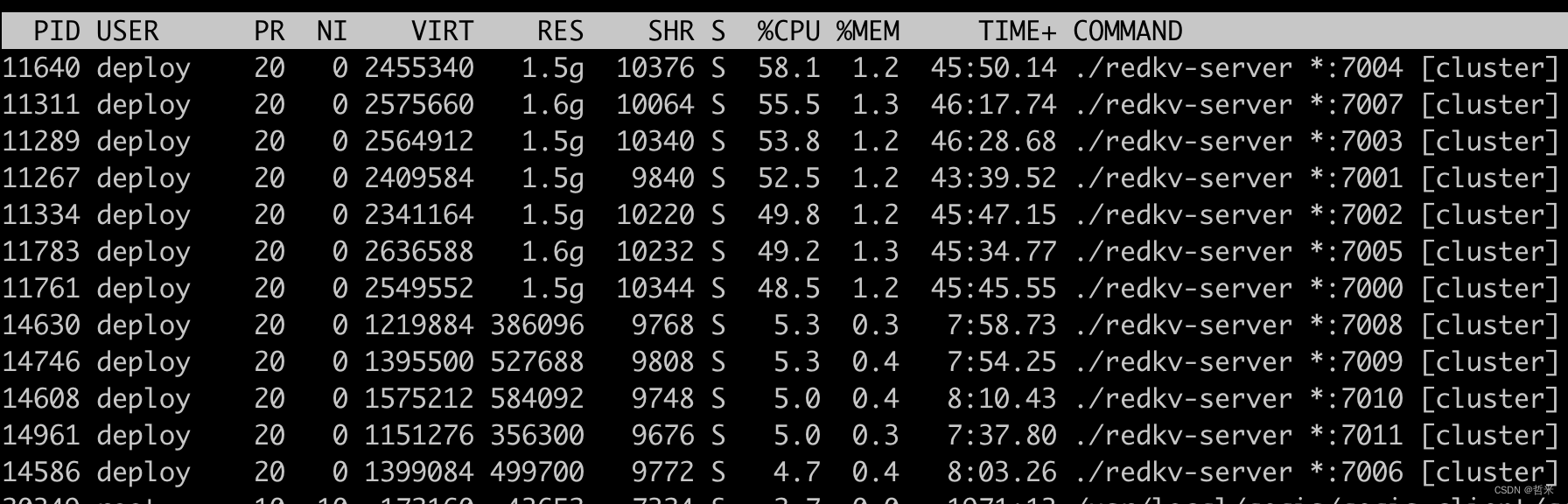 Linux Perf对进程进程CPU和内存分析_perf 内存分析-CSDN博客