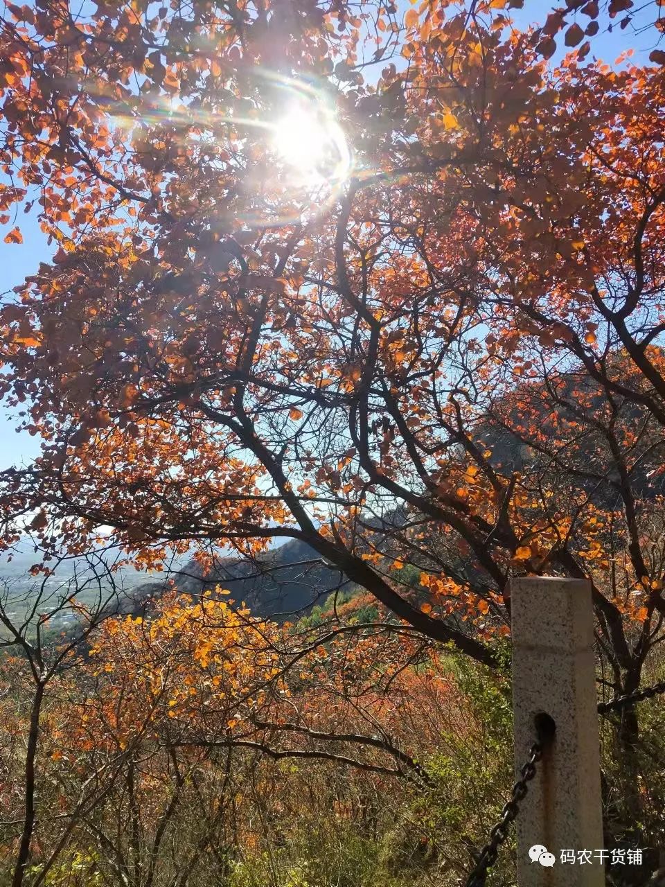 CDS相关资料整理(七) CDS视图中的字符串函数-CSDN博客