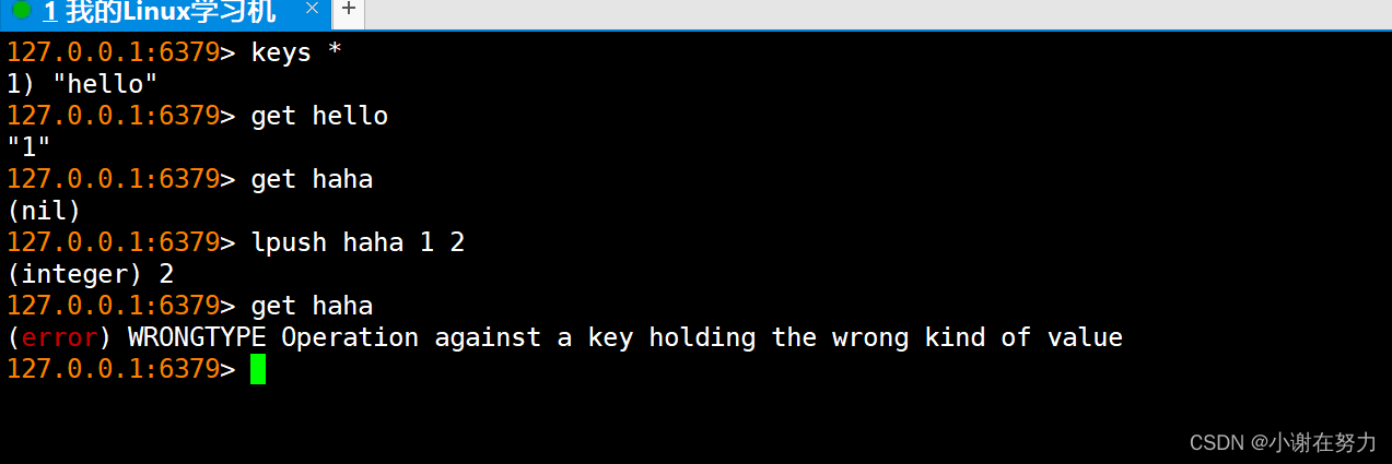【redis】redis五种常用数据类型和内部编码以及对string字符串类型的总结redis 字符串编码 Csdn博客