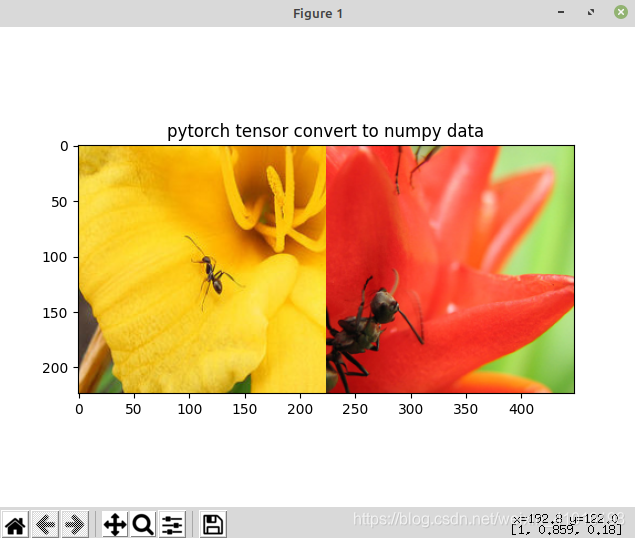opencv、matplotlib、pillow和pytorch读取数据的通道顺序_cv2 channel读取顺序-CSDN博客