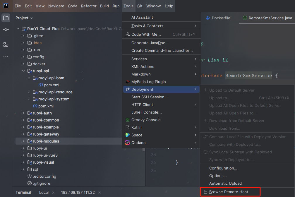 IDEA2023连接服务器docker并部署ruoyi-cloud-plus项目_ruoyi-cloud-plus 部署-CSDN博客