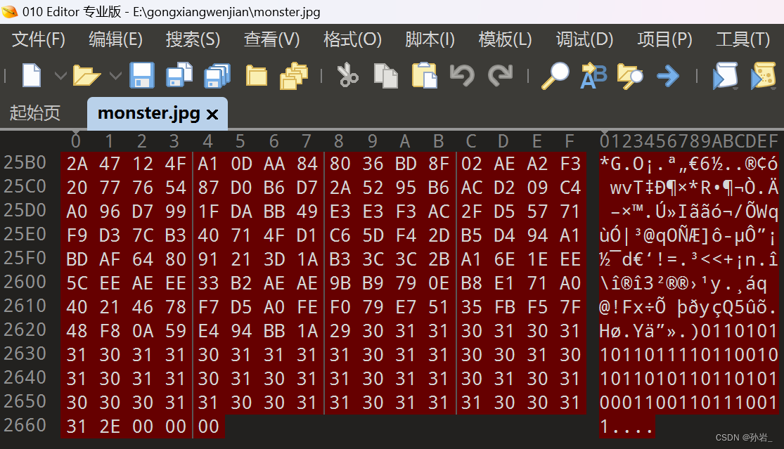 BUUCTF-MISC-另外一个世界_buuctf 另一个世界-CSDN博客