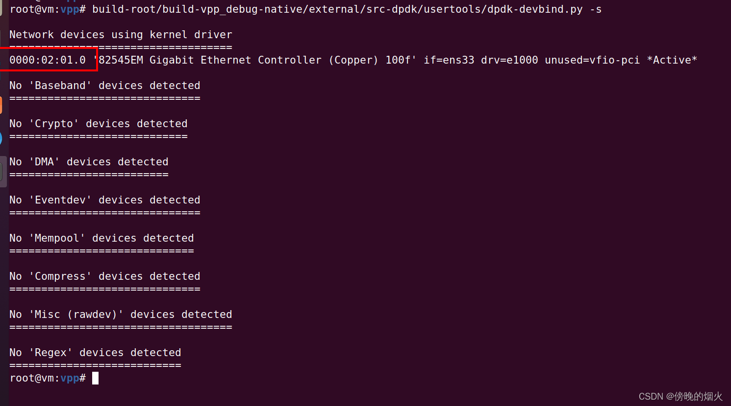 VPP 接管网卡，访问外网_vpp启动网卡-CSDN博客