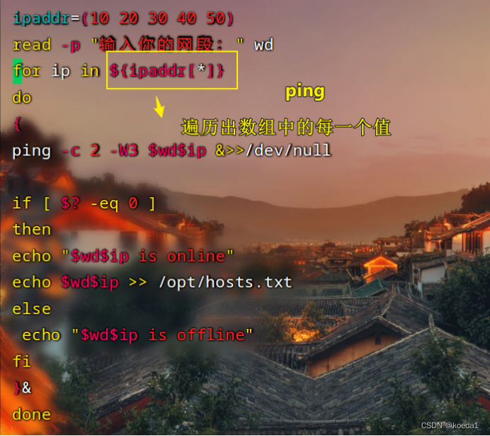 Shell 数组 Csdn博客 