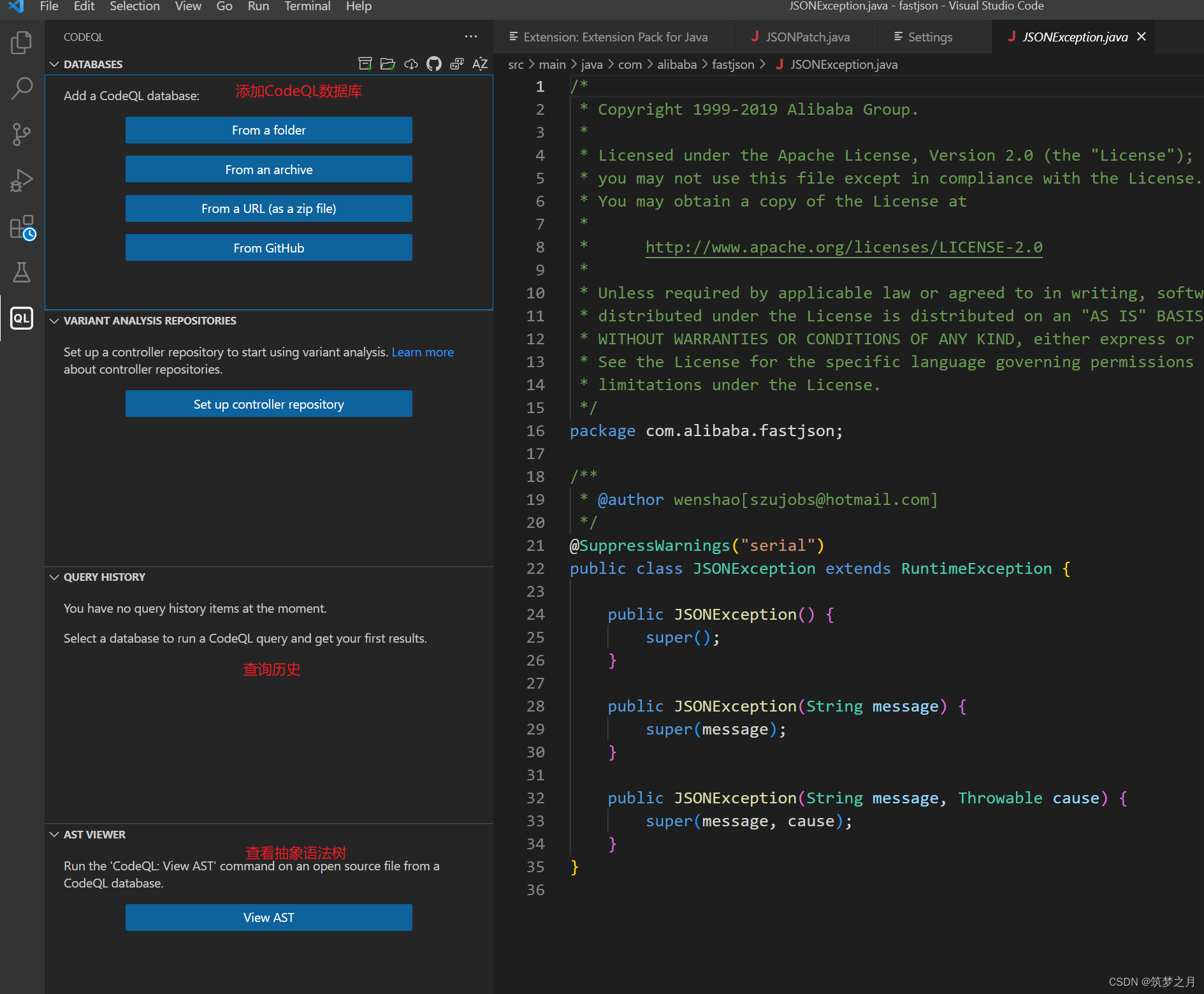 CodeQL从入门到精通系列 」02.CodeQL安装指导及使用方式-CSDN博客