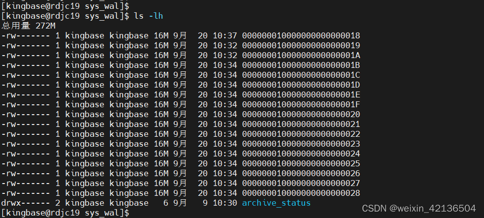 KingbaseES数据库的WAL日志讲解_kingbase wal日志-CSDN博客