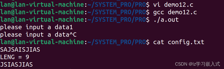 Linux进程--exec族函数_linux exec -l-CSDN博客
