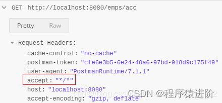 SpringBoot——定制错误页面及原理_errorpagecustomizer-CSDN博客