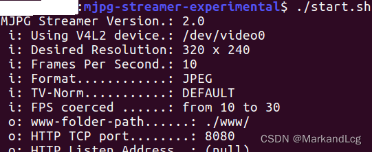Linux虚拟机 Ubuntu16 cheese命令打开摄像头黑屏，以及mjpg-stream框架不显示视频界面。_ubuntu cheesehei-CSDN博客