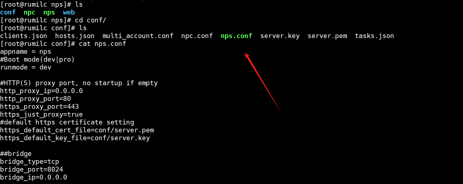 内网安全-隧道搭建&穿透上线&内网穿透-nps自定义上线&内网渗透-Linux上线-cs上线Linux主机_nps隧道-CSDN博客