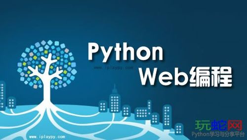 pythonweb开发需要学什么,python web开发框架-CSDN博客