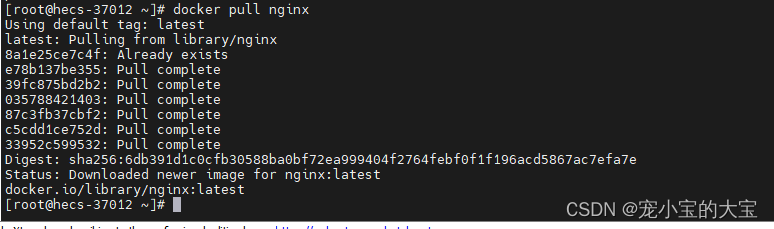 linux-docker安装nginx_linux上docker安装nginx-CSDN博客
