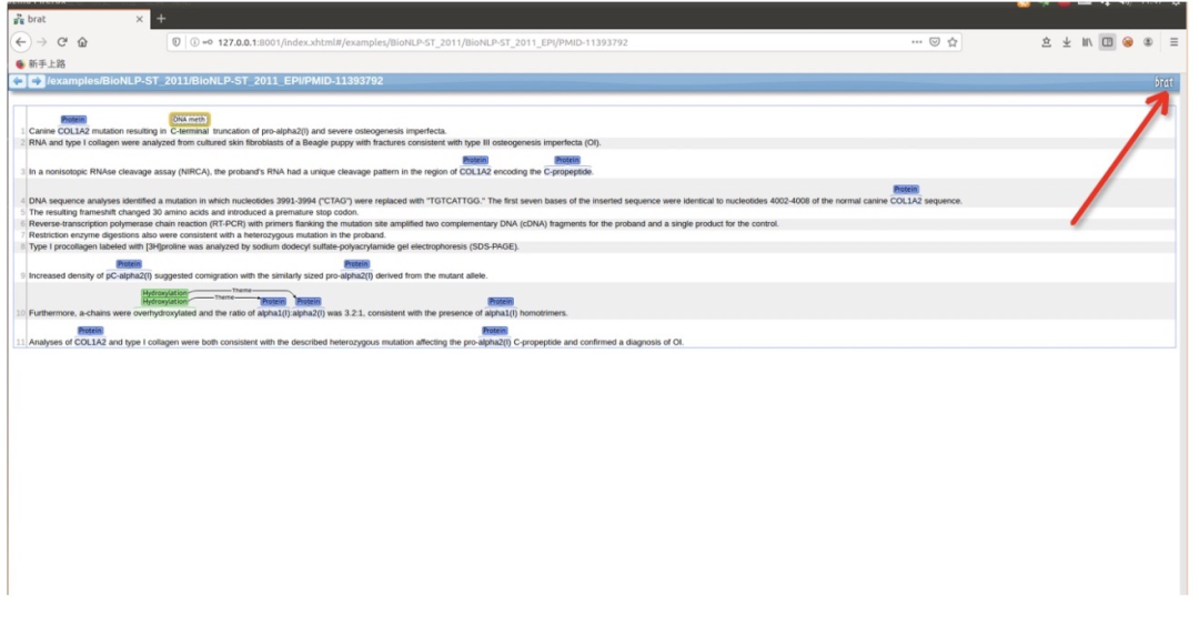 【NLP】NLP标注工具Brat的简单使用-CSDN博客