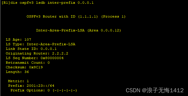 display查看命令_dis int link-info-CSDN博客