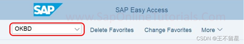 SAP 之如何定义功能范围Function Area_sap function area-CSDN博客