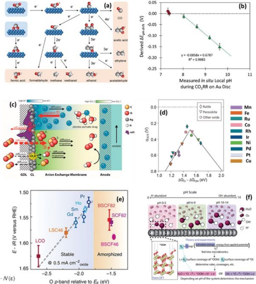 郭再萍院士，最新AM：水系可充Zn-CO2电池的关键_bifunctional catalysts for co2 reduction and o2 ev-CSDN博客