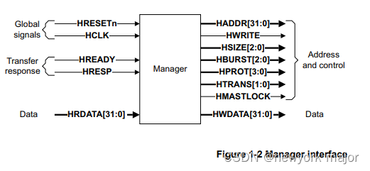AHB协议简读_ahb ready-CSDN博客