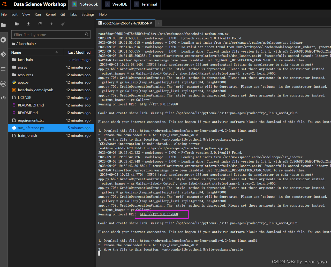 AIGC应用开发 Facechain初尝试_facechain训练不成功-CSDN博客